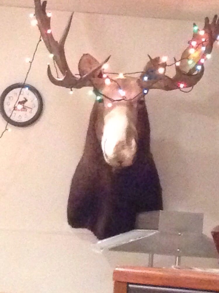 MOOSE LODGE ROOMS - Updated July 2024 - 317 W State St, Sycamore ...