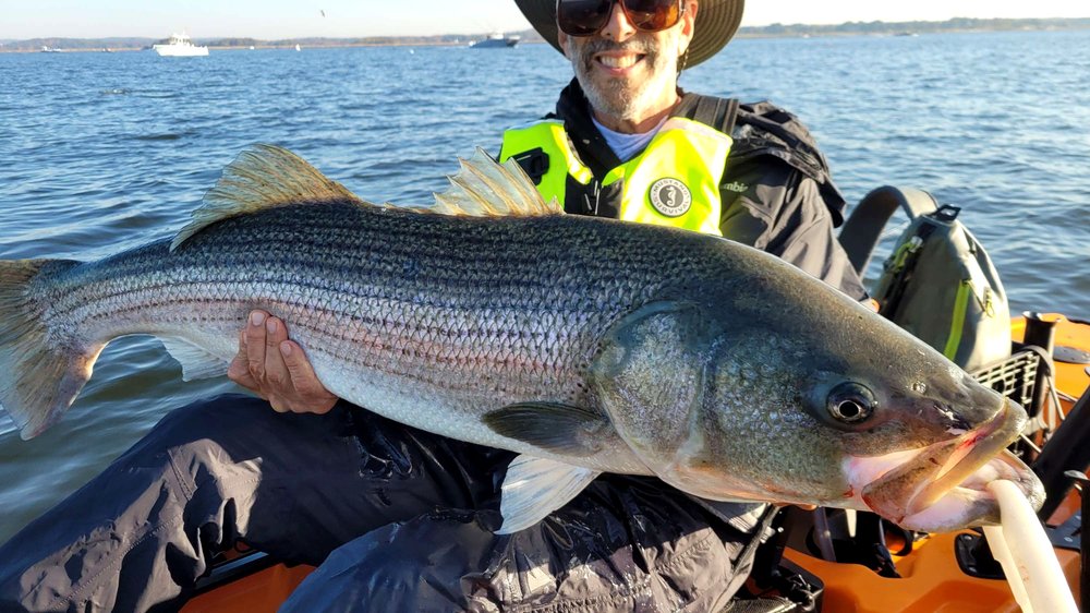 CT FISH NERD - Updated December 2025 - 27 Photos - Deep River ...