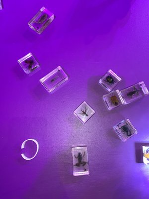 SCI-TECH DISCOVERY CENTER - Updated December 2025 - 132 Photos & 53 ...