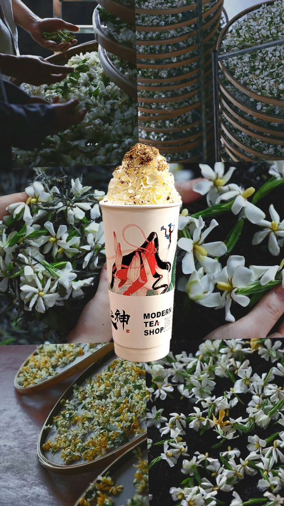 MODERN TEA SHOP - Updated August 2025 - 351 Photos & 198 Reviews - 300 ...