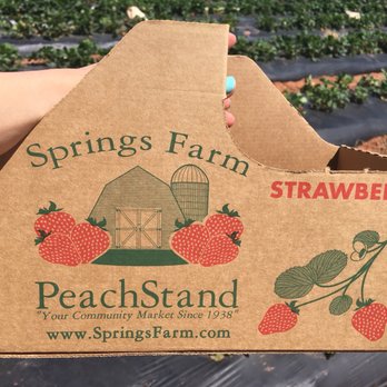SPRINGS FARM MARKET - Updated October 2025 - 27 Photos & 18 Reviews ...