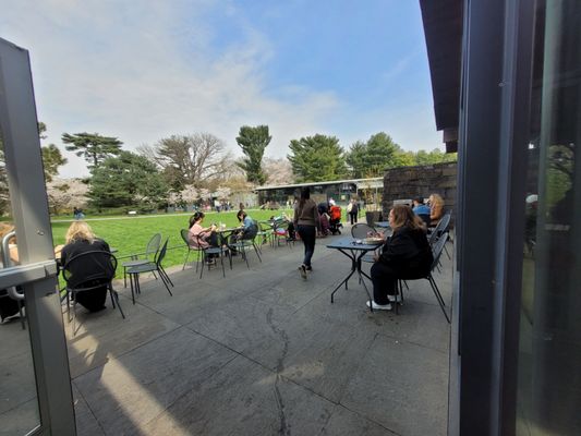 PINE TREE CAFE - Updated October 2025 - 50 Photos & 29 Reviews - 2900 ...