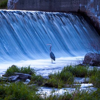 SHAD FACTORY POND - Updated August 2025 - 13 Photos - 65 Reed St ...