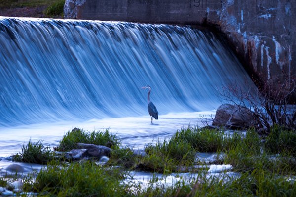 SHAD FACTORY POND - Updated August 2025 - 13 Photos - 65 Reed St ...