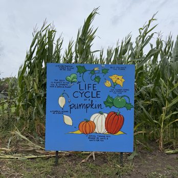 SCHILTER FAMILY FARM - Updated May 2026 - 175 Photos & 120 Reviews ...