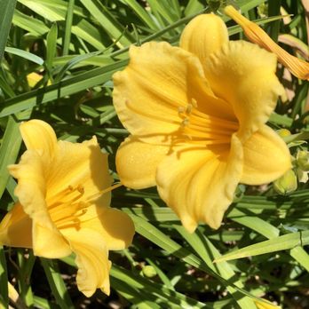 WEBER POINT EVENTS CENTER - Updated December 2025 - 17 Photos - 221 N ...