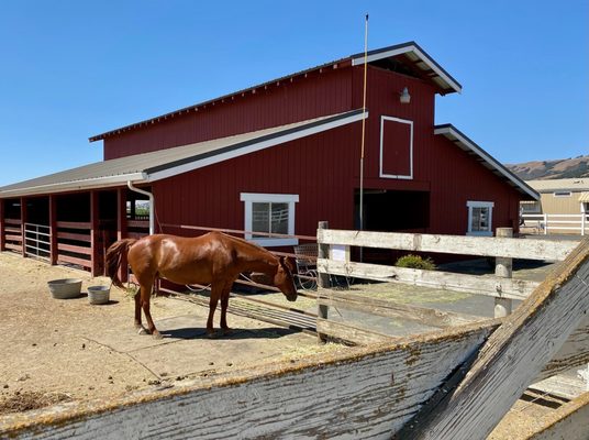 LAZY K RANCH CHERRY U-PICK - TEMP. CLOSED - Updated June 2025 - 88 ...