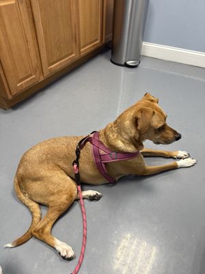 JUSTIN BARTLETT ANIMAL HOSPITAL - Updated May 2026 - 57 Photos & 126 ...