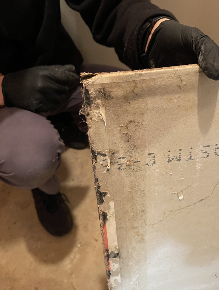 CHICAGO MOLD SERVICE - Updated July 2025 - 24 Photos - 3540 S Prairie ...