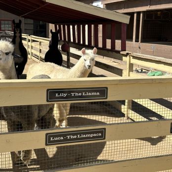 RIVER STREET RANCH - Updated January 2025 - 1029 Photos & 767 Reviews ...