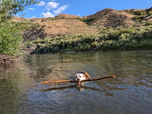 MAYBERRY PARK - Updated October 2025 - 209 Photos & 54 Reviews - 121 ...