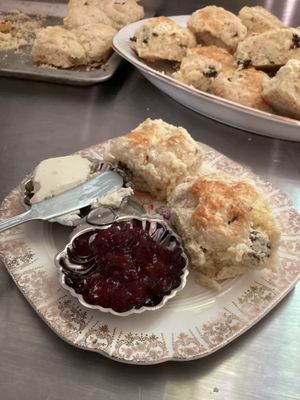 TATTERS AFTERNOON TEA ROOM - Updated November 2024 - 324 Main St ...