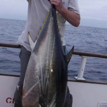 FIVE STAR FISH PROCESSING - Updated June 2025 - 45 Photos & 115 Reviews ...