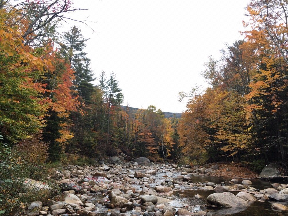 WATERVILLE CAMPGROUND - Updated August 2025 - NH Rte 49, Waterville ...