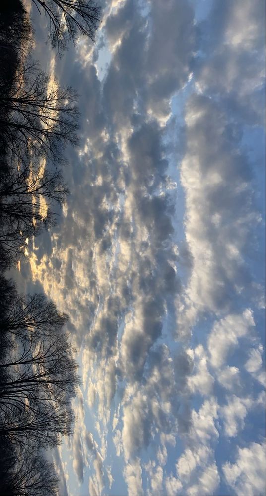 SKIPPY’S WELDING & FABRICATION - Updated September 2025 - Request a ...