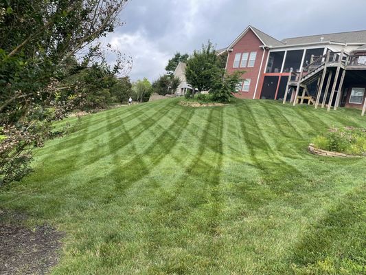 TN LANDSCAPING - Updated April 2025 - Knoxville, Tennessee - Lawn ...