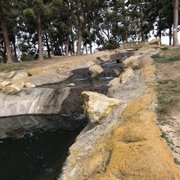 TEWINKLE PARK - 321 Photos & 101 Reviews - 970 Arlington Dr, Costa Mesa ...
