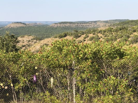 DEVIL’S BACKBONE OVERLOOK - Updated January 2026 - 34 Photos - 5299 ...