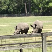 WHITE OAK - Updated September 2025 - 76 Photos & 11 Reviews - 581705 ...