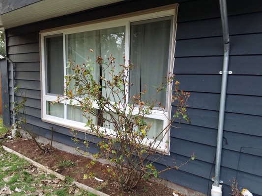 REGLAZE WINDOW & INSTALLATIONS - Updated August 2025 - 33 Photos & 92 ...