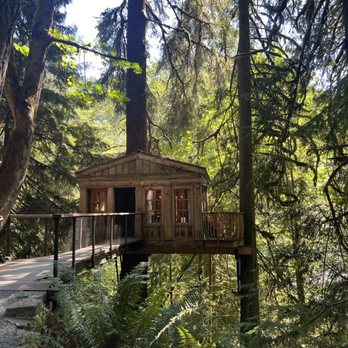 TREEHOUSE POINT - Updated March 2025 - 278 Photos & 114 Reviews - 6922 ...