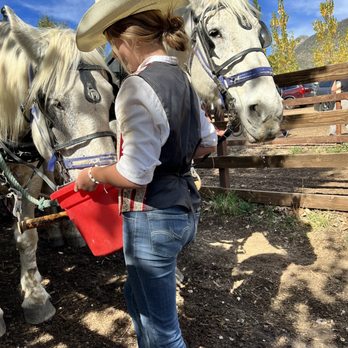 OAK TREE MOUNTAIN - Updated October 2024 - 589 Photos & 143 Reviews ...