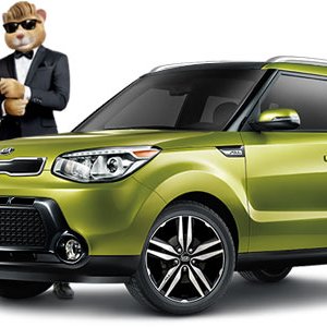 CAPILANO AUDI - Updated December 2025 - 38 Reviews - 813 Automall Drive ...