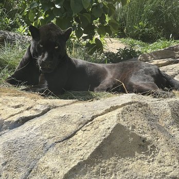 OC ZOO IRVINE REGIONAL PARK - Updated November 2024 - 49 Photos & 23 ...