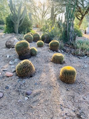 GLENDALE PUBLIC LIBRARY - Updated October 2025 - 89 Photos & 21 Reviews ...