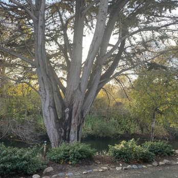 CARMEL RIVER INN - Updated October 2025 - 368 Photos & 255 Reviews ...