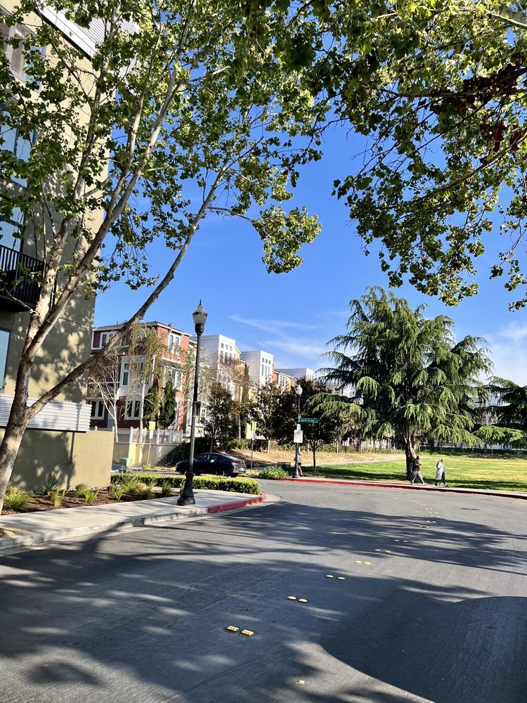 CAHILL PARK - Updated April 2026 - 43 Photos & 21 Reviews - 50 Bush St ...