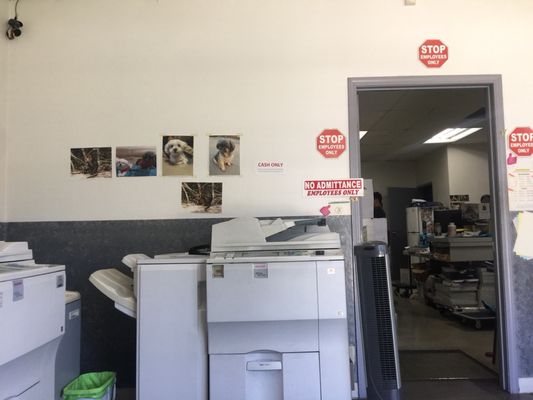 CHEAP COPY CENTER - Updated December 2025 - 33 Photos & 159 Reviews ...