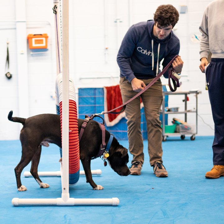 HUMANE RESCUE ALLIANCE BEHAVIOR AND TRAINING CENTER - Updated April ...