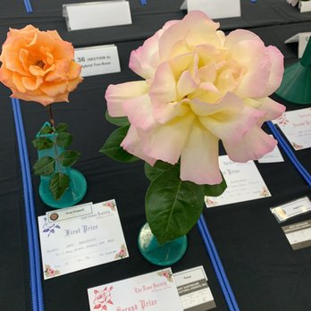 SOUTH PERTH COMMUNITY HALL - Updated August 2025 - Cnr Sandgate St And ...