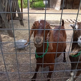 UNCLE DONALD’S FARM - Updated December 2025 - 17 Photos & 12 Reviews ...