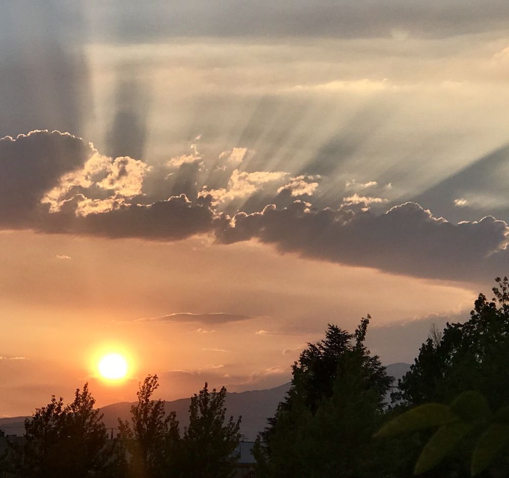 KRNV NEWS 4 NBC - Updated July 2024 - 20 Photos & 24 Reviews - 1790 ...