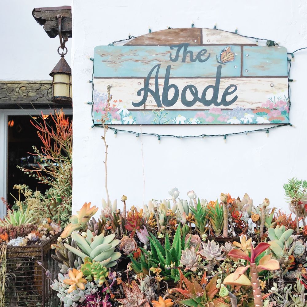 THE ABODE - Updated December 2024 - 37 Photos & 22 Reviews - 228 ...