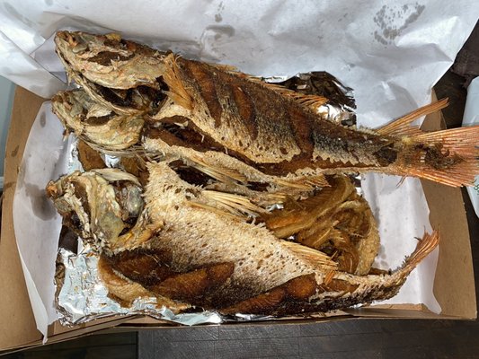 USA DAILY LIVE SEAFOOD MARKET - Updated December 2025 - 219 Photos ...