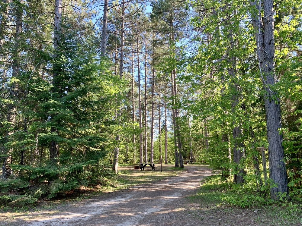 EAST BRANCH FOX RIVER STATE CAMPGROUND - Updated July 2025 - M-77 ...