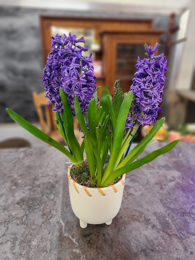 FLOWERS BY CONNIE - Updated May 2026 - Request Information - 28 Photos ...