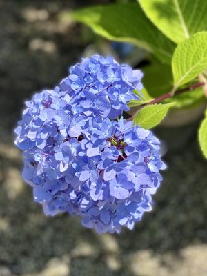 HIGH HAND NURSERY - Updated July 2024 - 660 Photos & 174 Reviews - 3750 ...