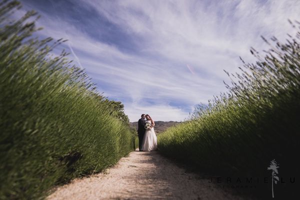 LAVENDER RIDGE - 90 Photos & 31 Reviews - 7450 W 4th St, Reno, NV - Yelp