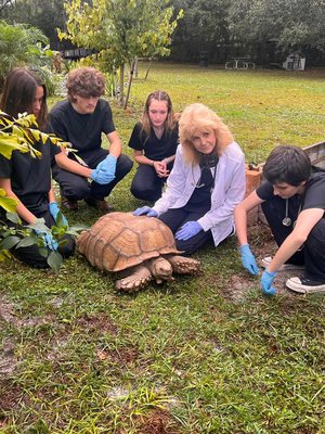 SOLID ROCK COMMUNITY SCHOOL - Updated January 2026 - 22 Photos - 2801 ...