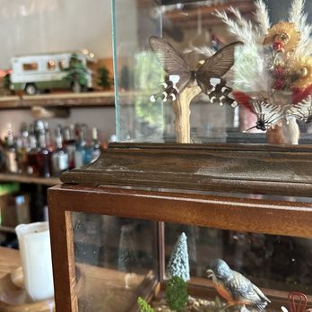 FOREST ROOM 5 - Updated September 2025 - 242 Photos & 818 Reviews ...