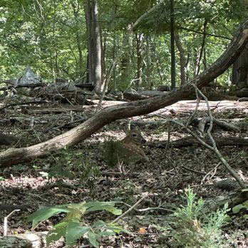 POWDER VALLEY CONSERVATION NATURE CENTER - Updated December 2025 - 252 ...