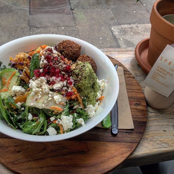 SPROUT & CO - Updated December 2025 - 58 Photos & 32 Reviews - 63 ...