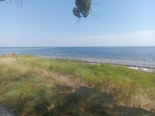 SHELL POINT BEACH - Updated December 2025 - 47 Photos & 14 Reviews ...