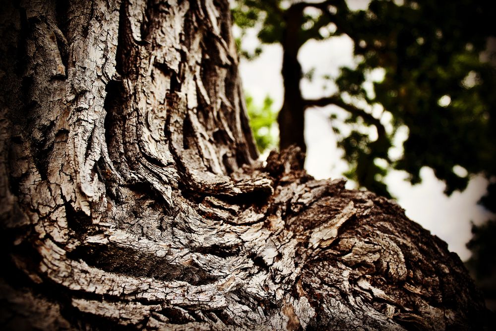 PHOTO AND GRAPHIC DESIGN LIFE OF HEUGLY - Updated August 2024 - Request ...