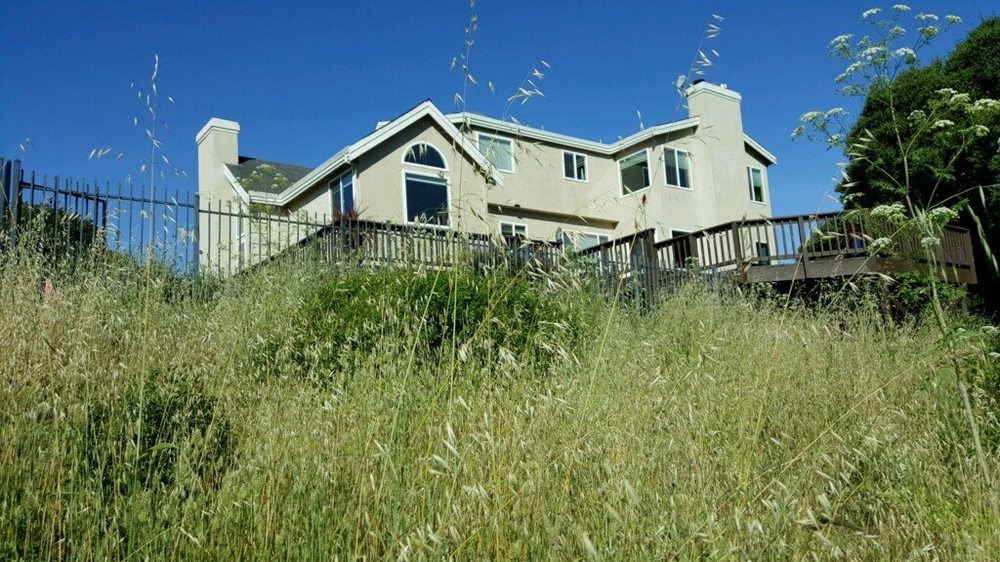 BRUSHPROS DEFENSIBLE SPACE CLEARING - Updated July 2025 - 16 Photos ...