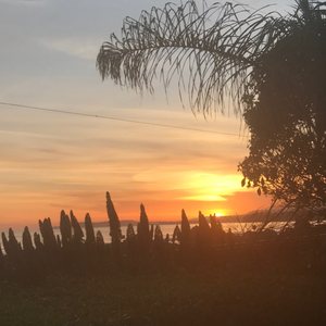 PADARO BEACH GRILL - 1165 Photos & 998 Reviews - 3765 Santa Claus Ln ...